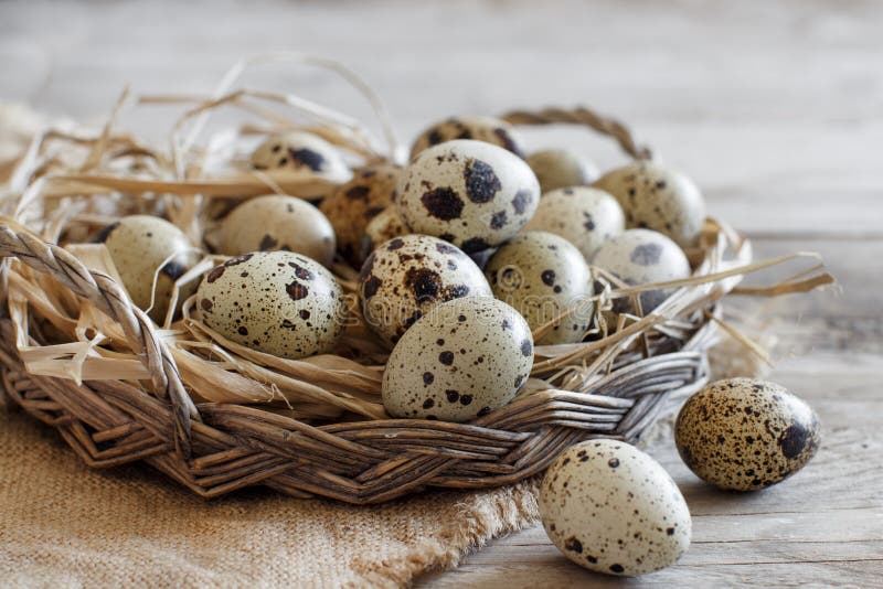 De Eieren Van Kwartels in Een Mand Stock Afbeelding - Image of proteïne ...