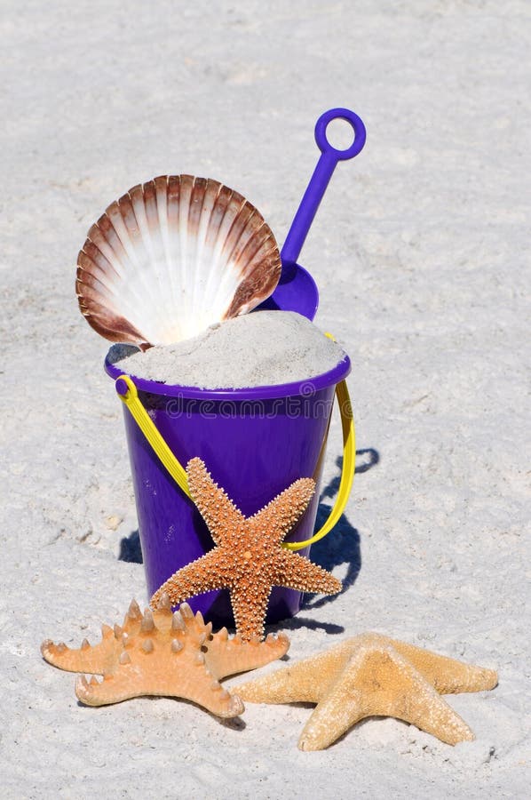 Emmer En Zeeschelp Op Strand Stock Foto - Image of openlucht, zand: 6156798