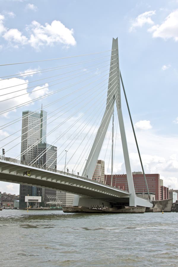 De Erasmus Brug in Rotterdam Nederland Redactionele Stock Afbeelding ...