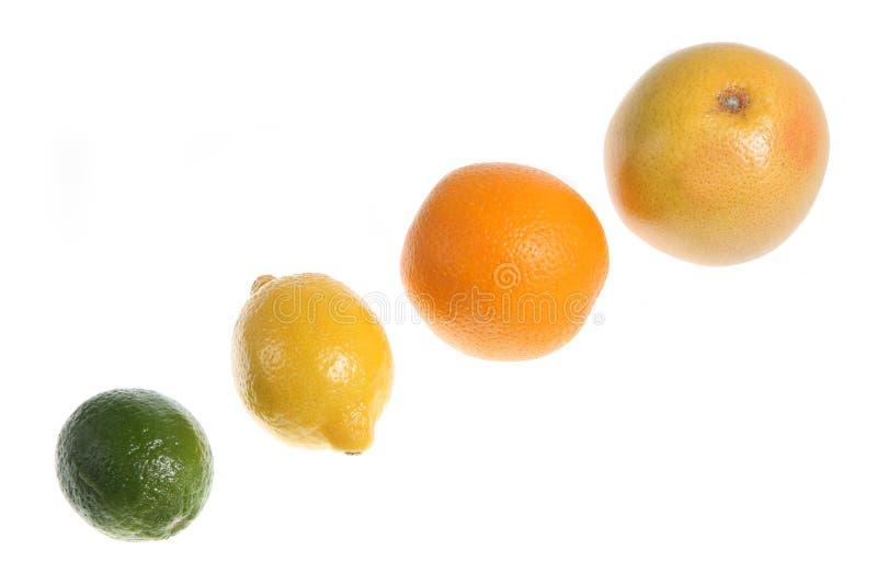 De Citrusfamilie stock afbeelding. Image of levensstijl - 1280571
