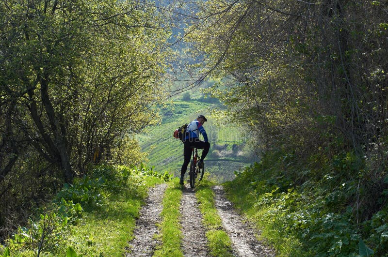 De Fietser Van De Berg Op Landelijke Weg Stock Foto - Image of toerisme ...