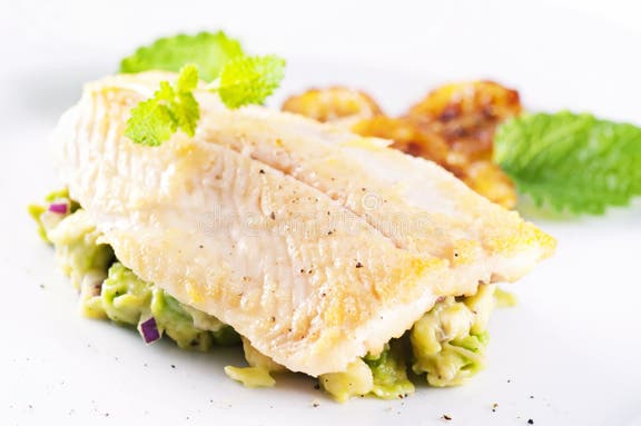 Forelfilet stock afbeelding. Image of biologisch, meter - 24056179