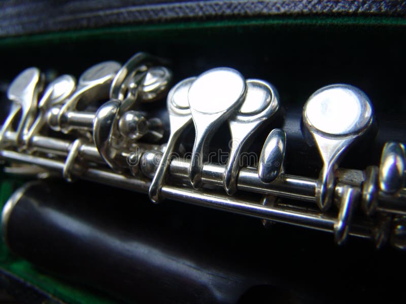 Piccolo foto de stock. Imagem de macro, furos, almofadas - 1722914