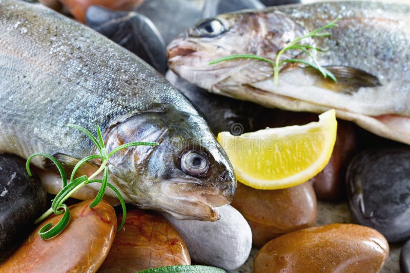 De forel van de regenboog stock afbeelding. Image of ongekookt - 13610279