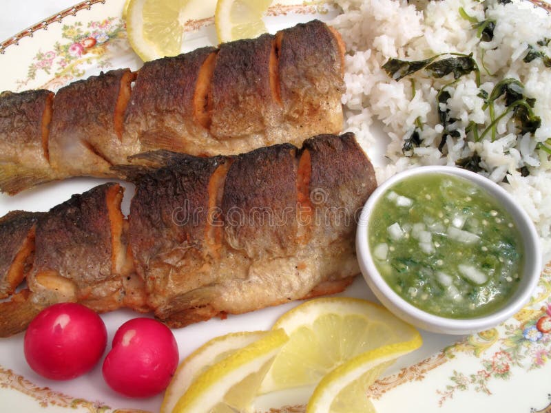 De Forel Van De Regenboog Mexicana Stock Afbeelding - Image of vissen ...