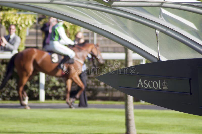 Jackie St Clair Bij Halsdoekrassen Redactionele Stock Afbeelding ...