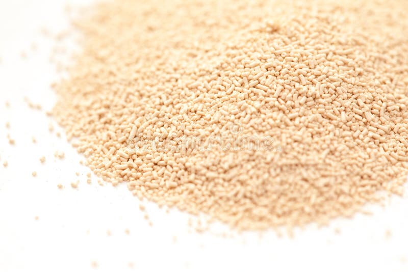 Broodmachinegist stock afbeelding. Image of gist, geel - 13616591