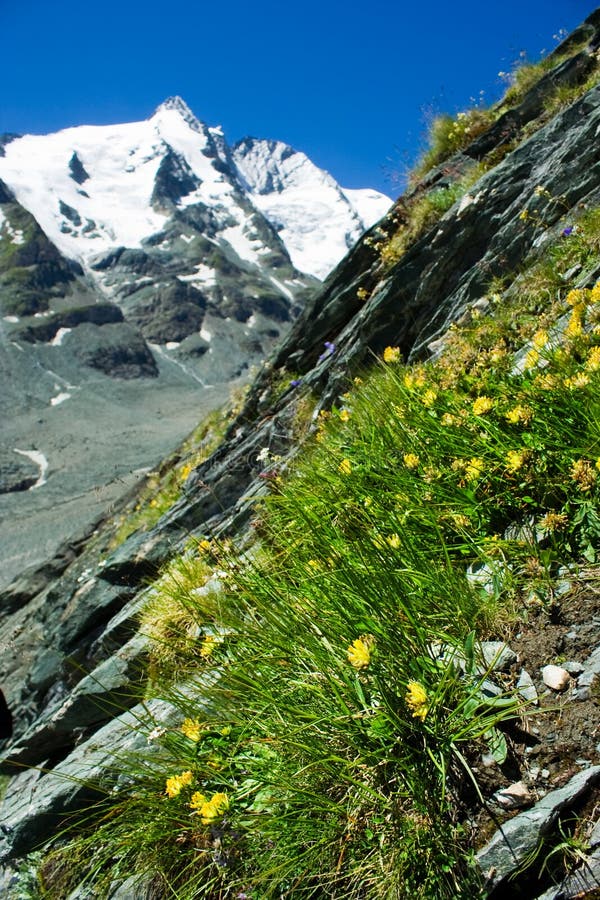 De Gletsjer Van Grossglockner Stock Foto - Image of mooi, buiten: 5997128