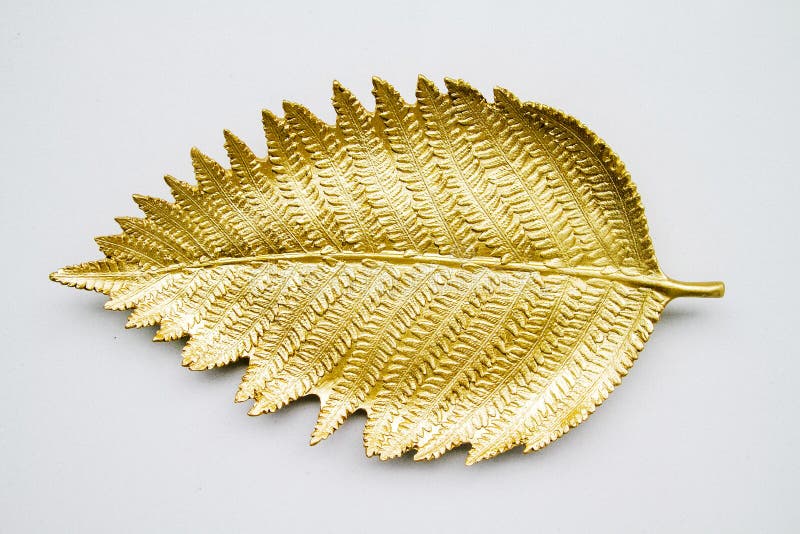 Blad in De Vorm Van Een Hart Stock Afbeelding - Image of quebec, blad ...