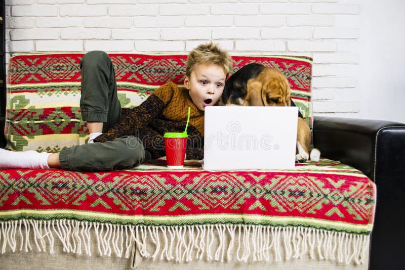 De Grappige Jongen En Brakhond Let Op Laptop Stock Afbeelding - Image ...