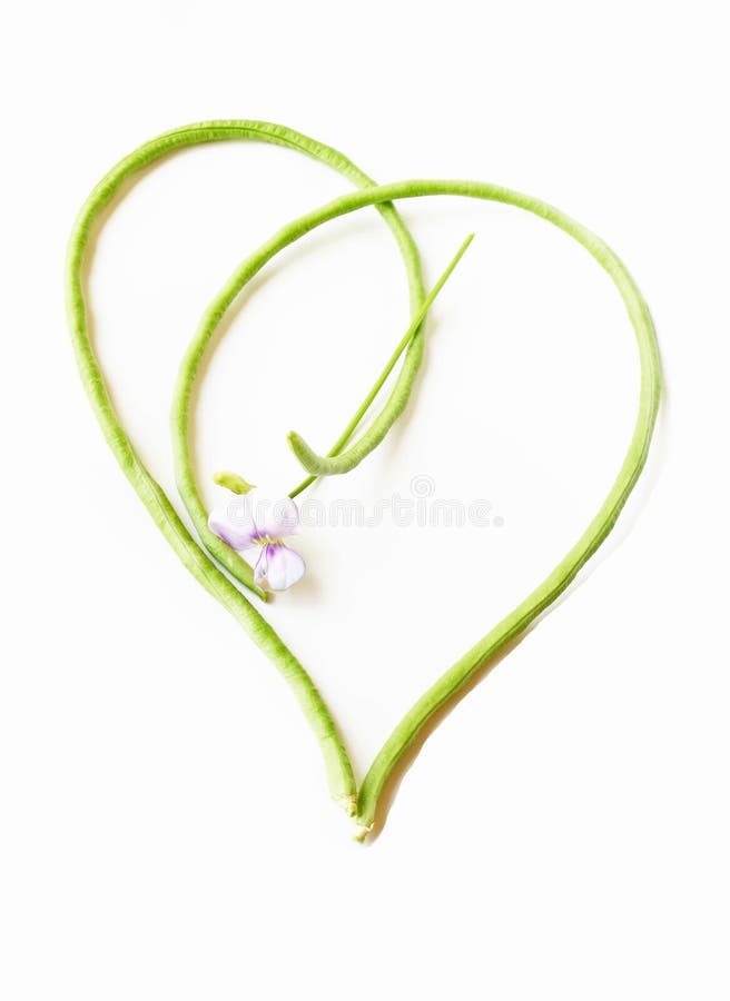 Liefde Groen stock foto. Image of markt, boon, gezond - 26017718