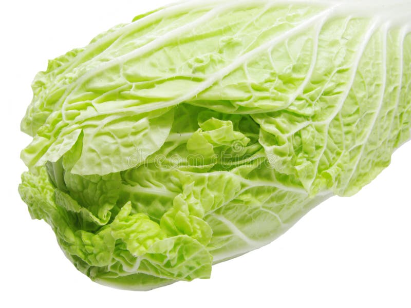 De groente van de sla stock afbeelding. Image of gezond - 12159371