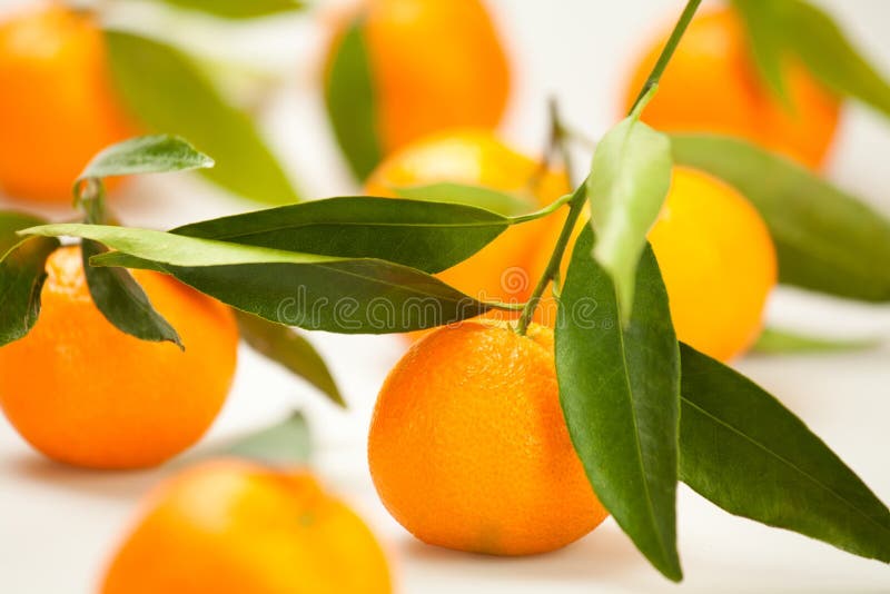 De groep van de mandarijn stock afbeelding. Image of rijp - 28256057