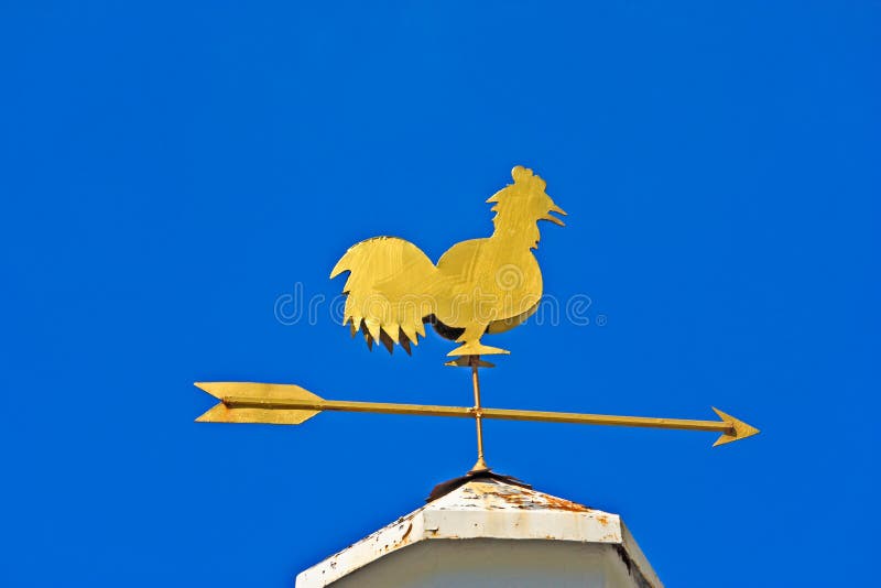 Weerhaan stock foto. Image of zuiden, decoratie, landbouwbedrijf - 7634856