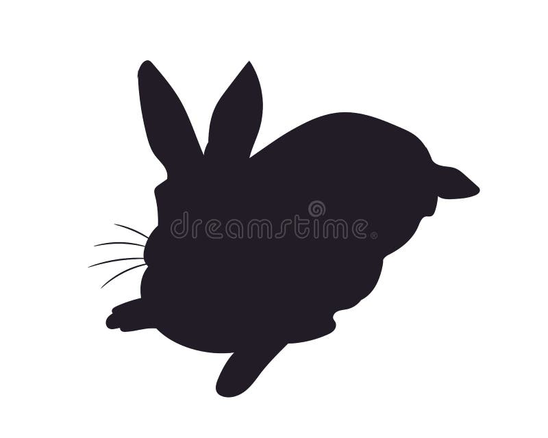 De Haas Ligt, Silhouet, Vector Vector Illustratie - Illustration of ...