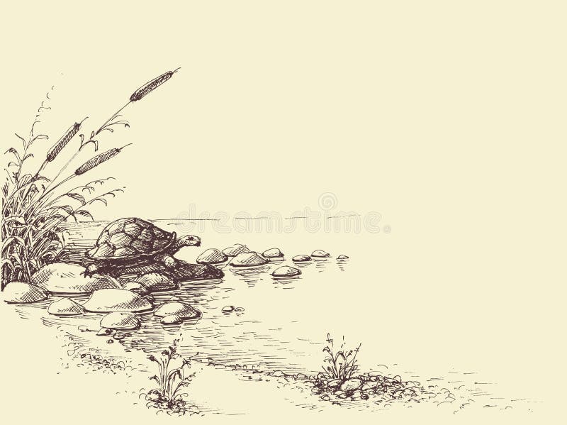 Natuurtekening, Schets Van Bergketens Vector Illustratie - Illustration ...