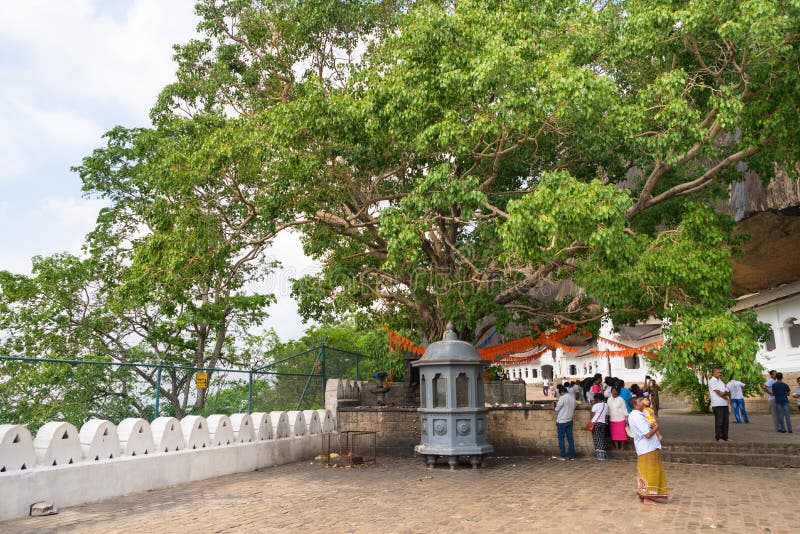 Heilige Bodhi-boom in De Gangaramaya-tempel Van Colombo in Sri Lanka ...