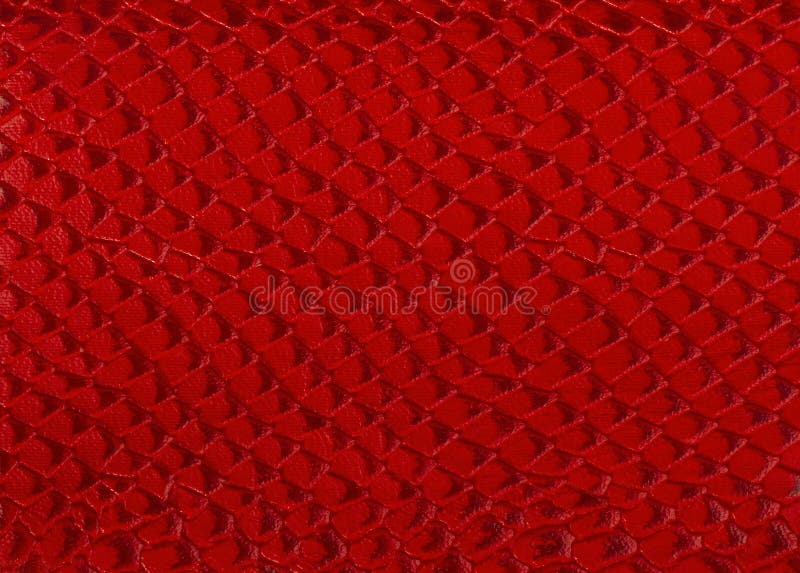 Een Fel Rode Slang Kruipt Op De Steen Stock Afbeelding - Image of ...