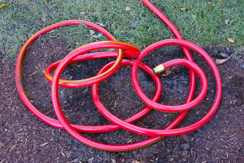 De Heldere Rode Slang Van De Tuin Stock Afbeelding - Image of druppel ...