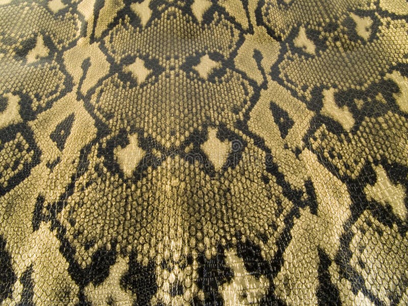 Slangenhuid stock afbeelding. Image of gegevens, achtergrond - 1842827