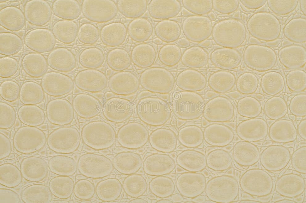 Slangenhuid stock afbeelding. Image of achtergronden - 24354699