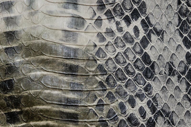 De Textuur Van De Slanghuid Stock Afbeelding - Image of glijden ...