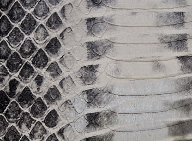 De Textuur Van De Slanghuid Stock Afbeelding - Image of glijden ...