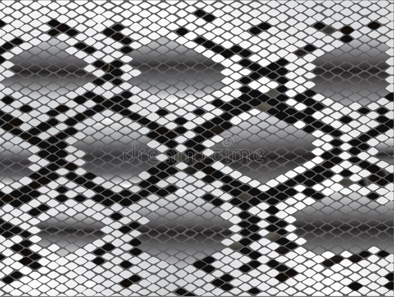 Slangenhuid in Zwart En Wit Vector Illustratie - Illustration of ...