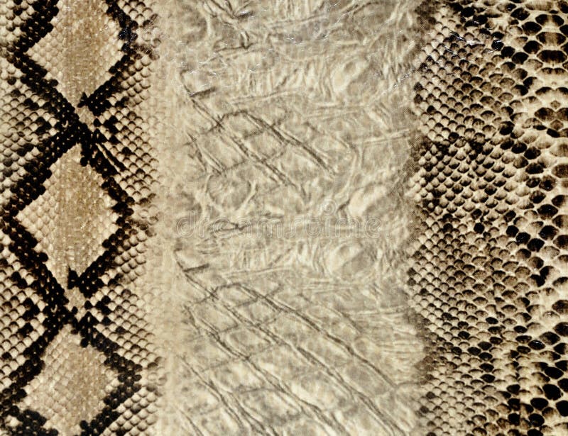 Slangenhuidtextuur stock foto. Image of huid, ratelslang - 21198798