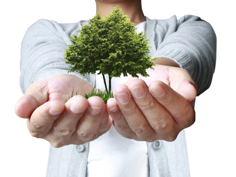 De Installatie Van De Hand, Boom Stock Afbeelding - Image of boom ...