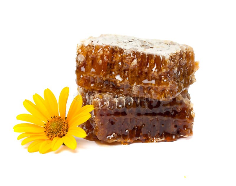 De Kam Van De Honing Met Een Gele Bloem Stock Afbeelding - Image of ...