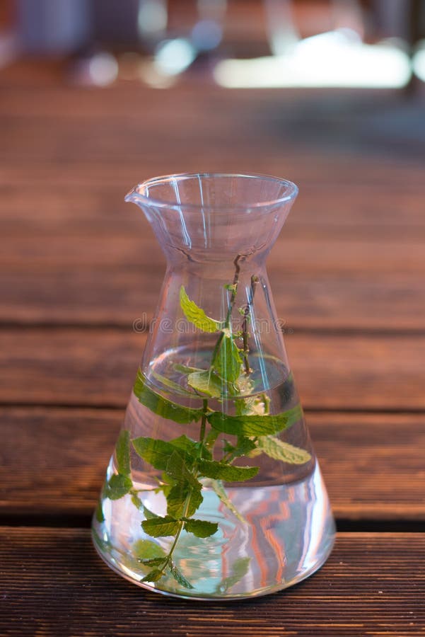De Karaf Met Water En Munt-doorbladert Stock Foto - Image of citroen ...