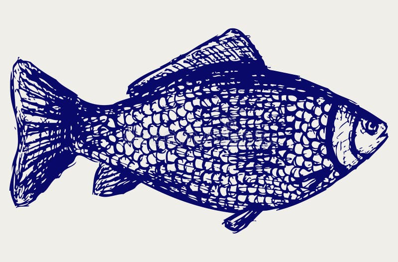 Karper Chinees Symbool Van Goede Geluk, Moed, Persistentie, Volharding ...