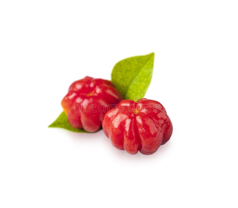 De Kers Van Suriname, Het Tropische Fruit Stock Foto - Image of verzuur ...