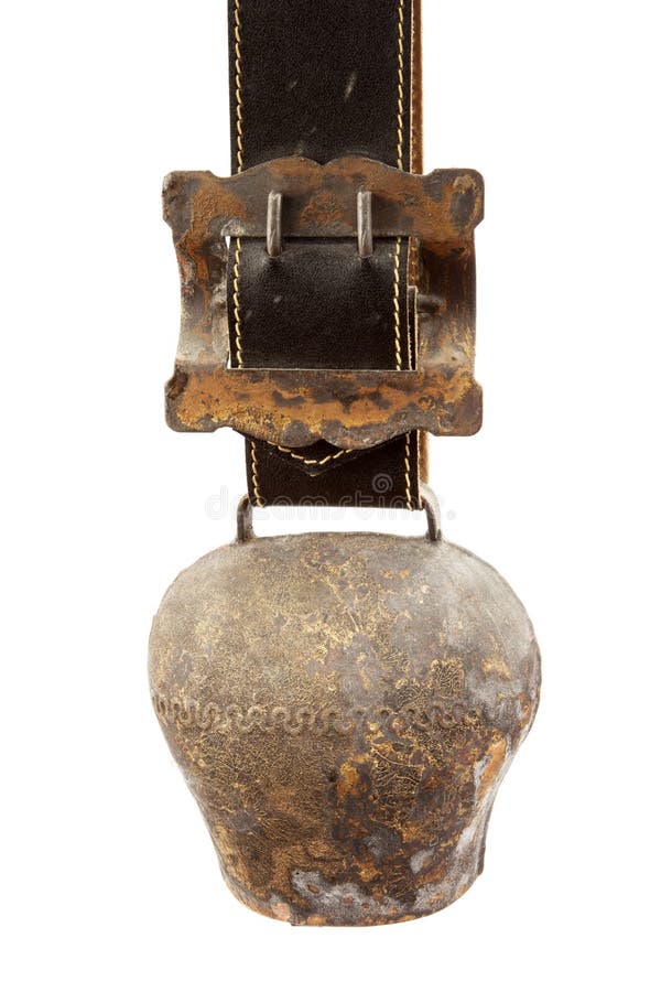 De koebel van Zwitserland stock foto. Image of enkelvoudig - 20476402