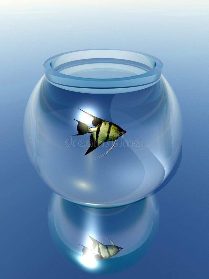 De Goudvis in Kom Let Op Dode Goudvis in Een Andere Kom Stock ...