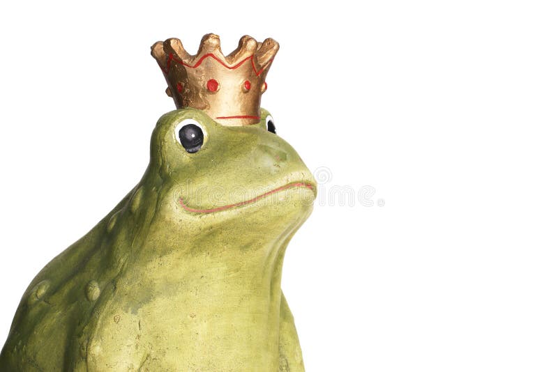 De Koning van de kikker stock afbeelding. Image of verbindend - 10041575