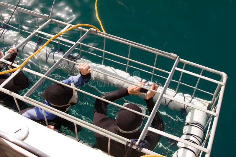 De kooi van de haai stock afbeelding. Image of reis, haaien - 20817577