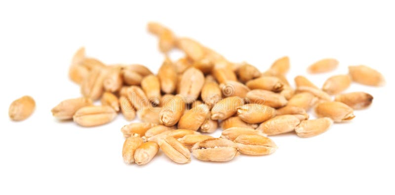 De Achtergrond Van De Tarwekorrel Stock Afbeelding - Image of ...