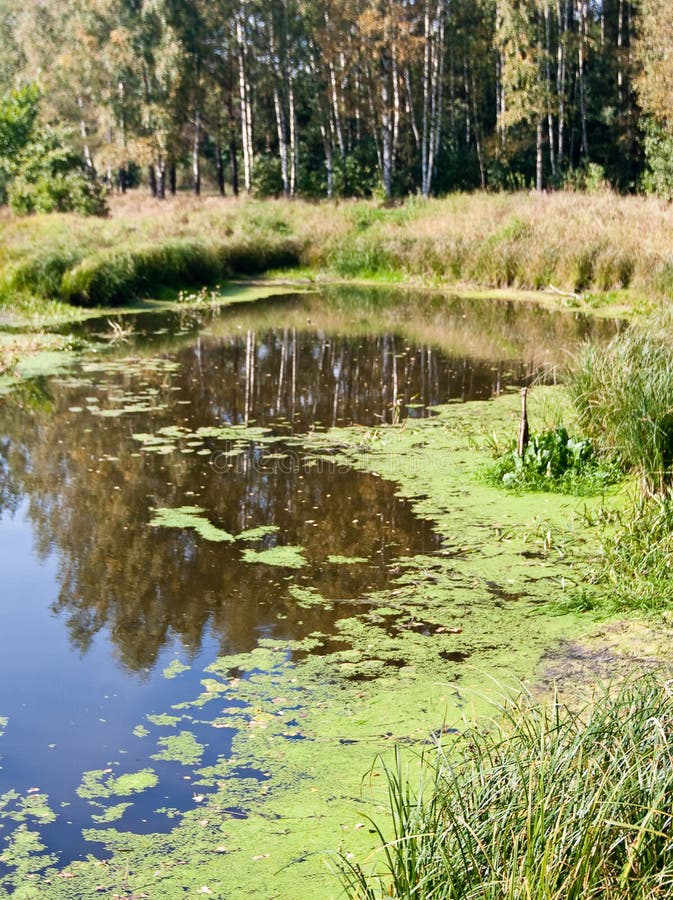 De kromming van de rivier stock afbeelding. Image of blauw - 11152361