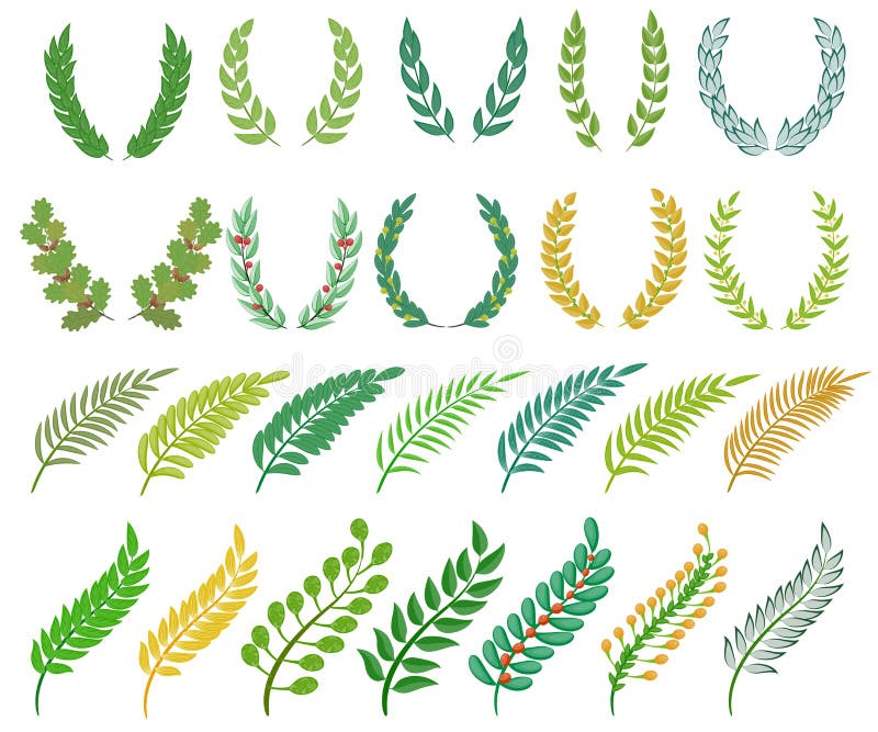 De Kroonvector Kondigt Omhulde Decoratie Met Aan Wreathen Olijfbladeren ... De Kroonvector Kondigt Omhulde Decoratie Met Aan Wreathen Olijfbladeren ...