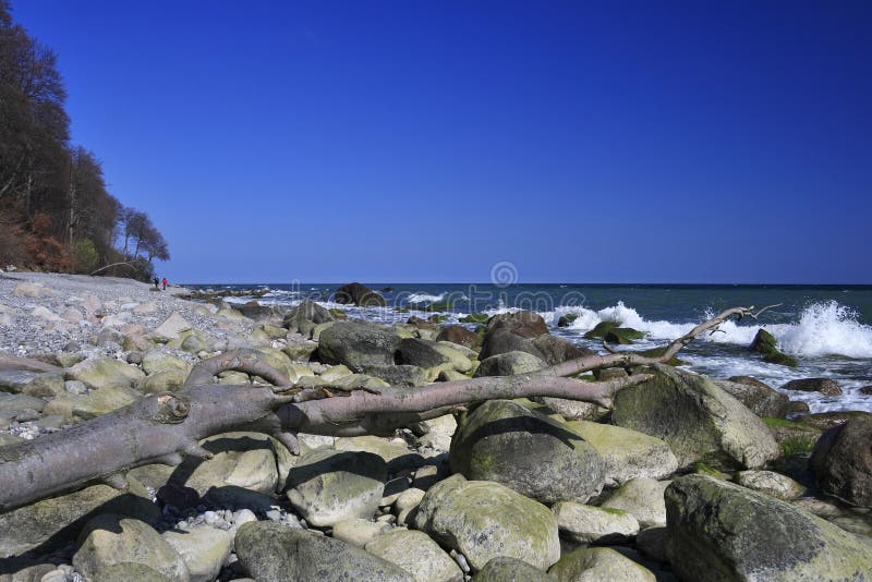 De Kust van de Oostzee stock foto. Image of hemel, branding - 22988066