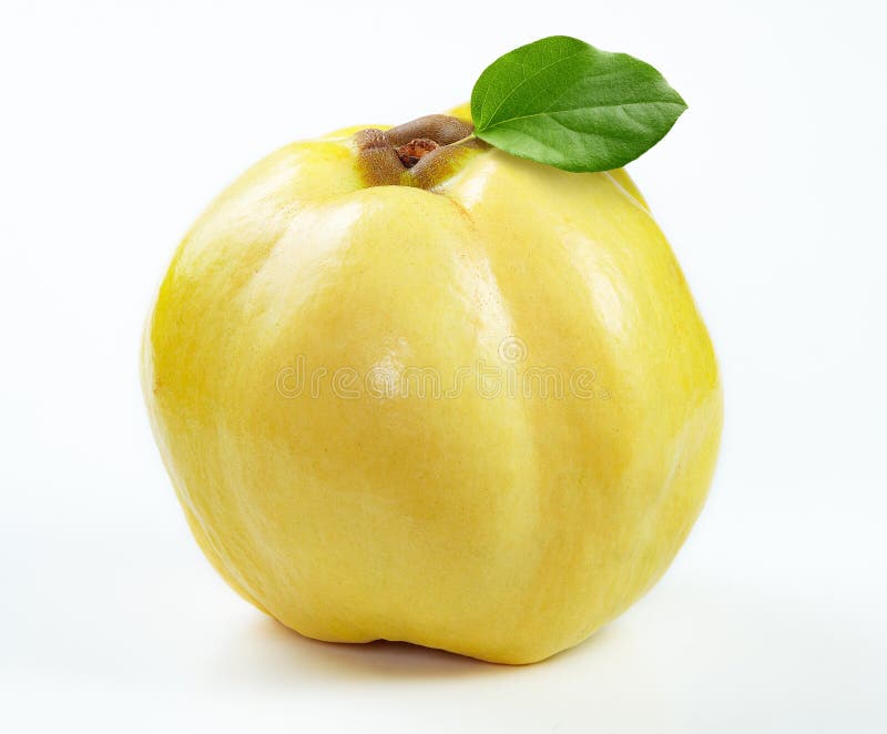 Kweepeer stock foto. Image of blad, vrucht, oezbekistaans - 28015608