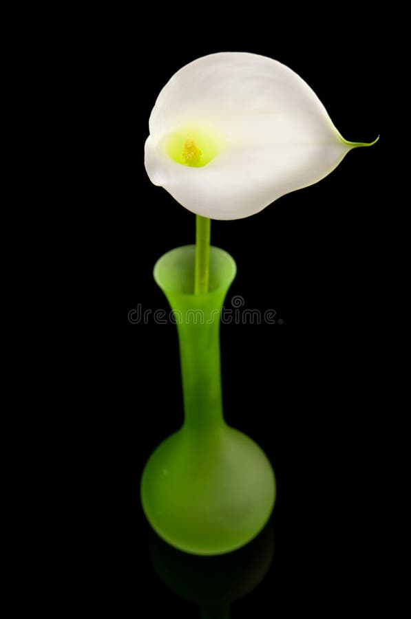 De La Cala Flor Blanca Lilly En Florero Verde Imagen de archivo ...