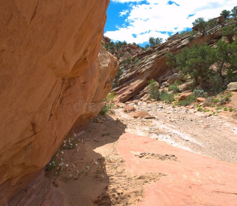 De Lagere Canion Van De Draai Muley Stock Foto - Image of alleen, groef ...