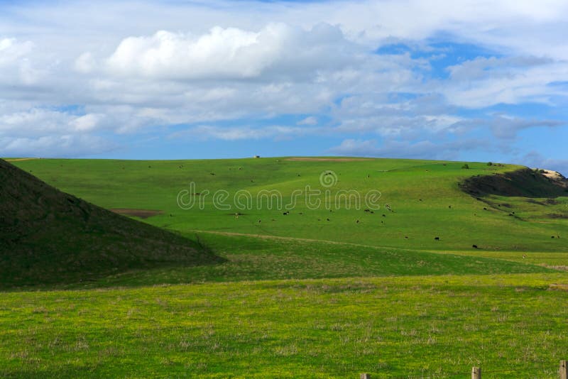De Lente Landschap - Groen Gebied Stock Foto - Image of wolk, schoon ...