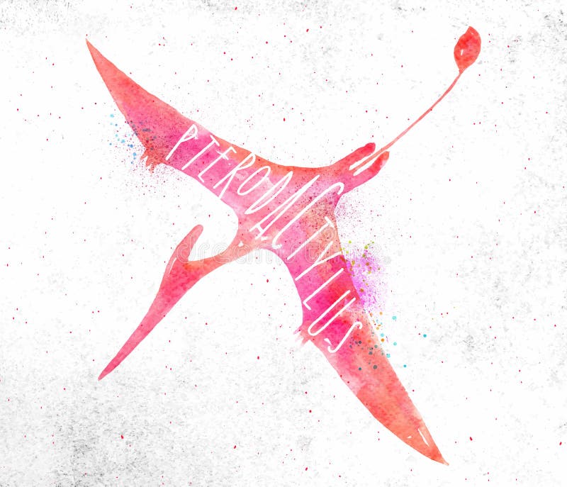 Tekening Van Een Pterodactylus Vector Illustratie - Illustration of ...