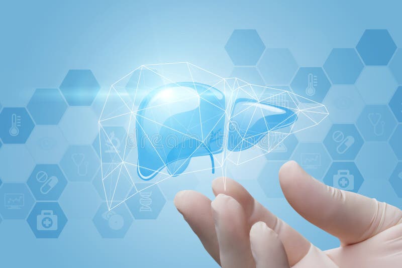 Van De Leverontsteking (verwante Leverziekte) Medische De Diagnose ...