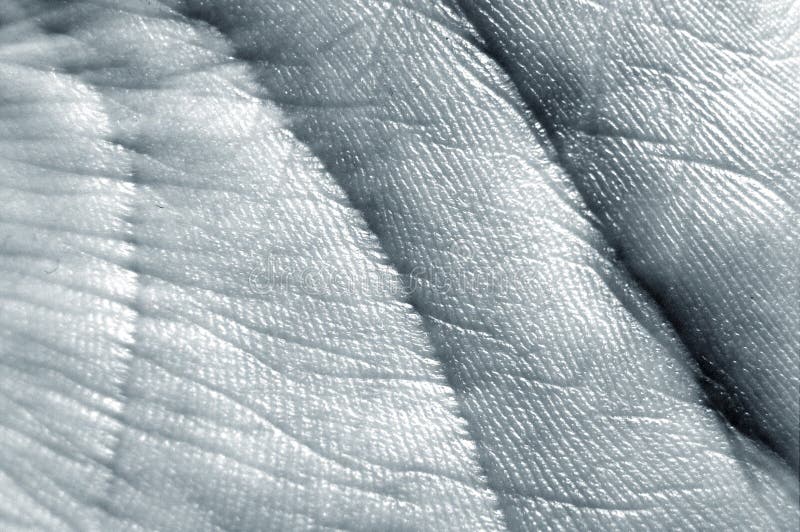 De lijnen van de hand stock afbeelding. Image of macro - 2889227