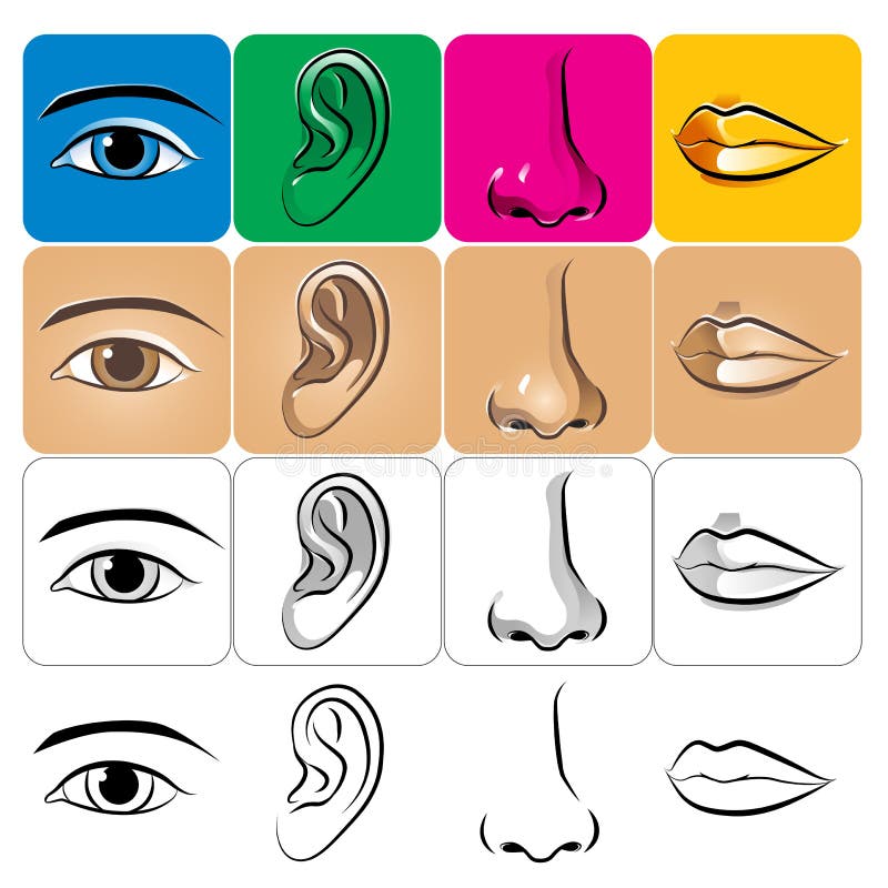 De Lip Van De Neus Van Het Oor Van Het Oog Vector Illustratie ...